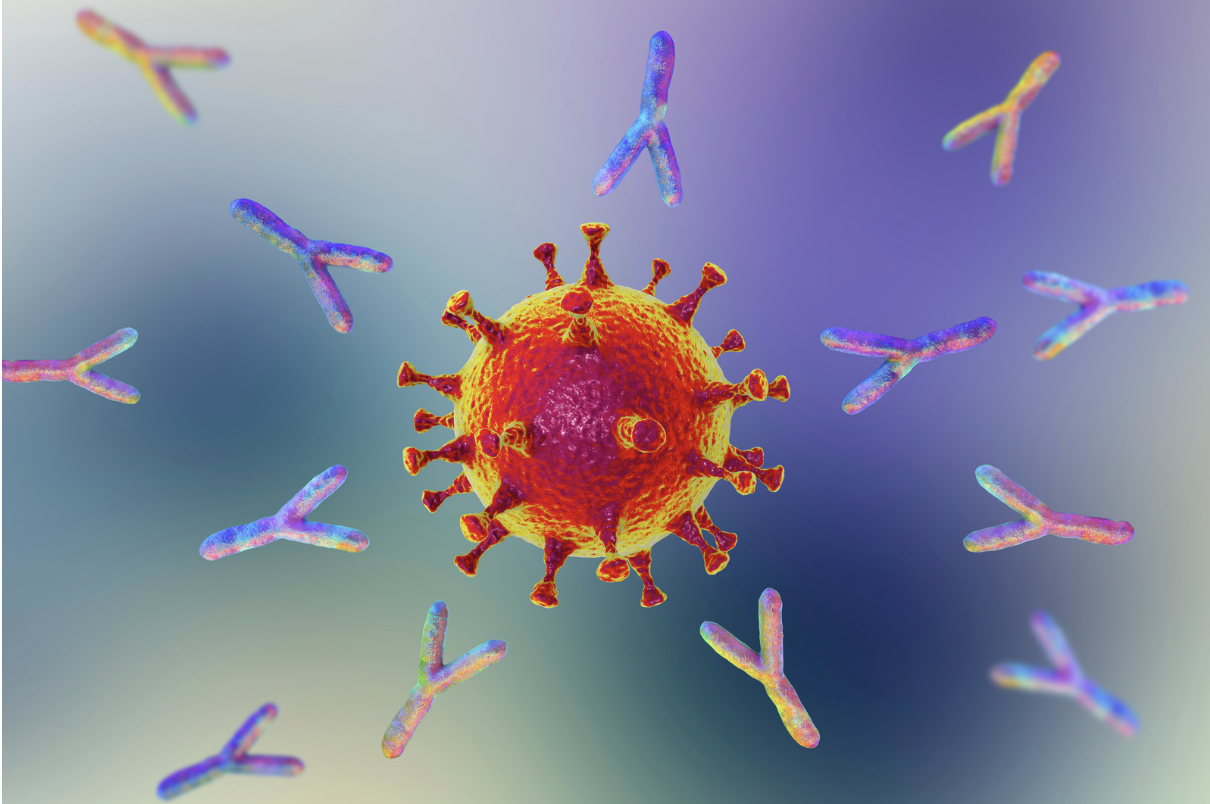 Qué son los Anticuerpos Monoclonales - Hemoclinic Perú